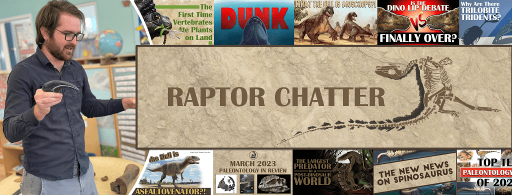 Stickers - Raptor Chatter